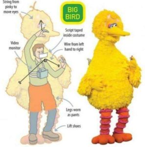 Big Bird – International Variants – List Obsession