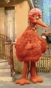 Big Bird – International Variants – List Obsession